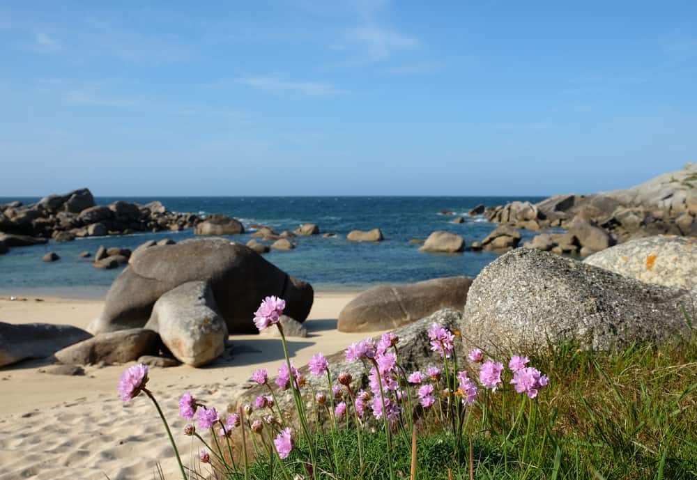 Plouescat côte Finistère Nord | Et pourtant elle tourne...
